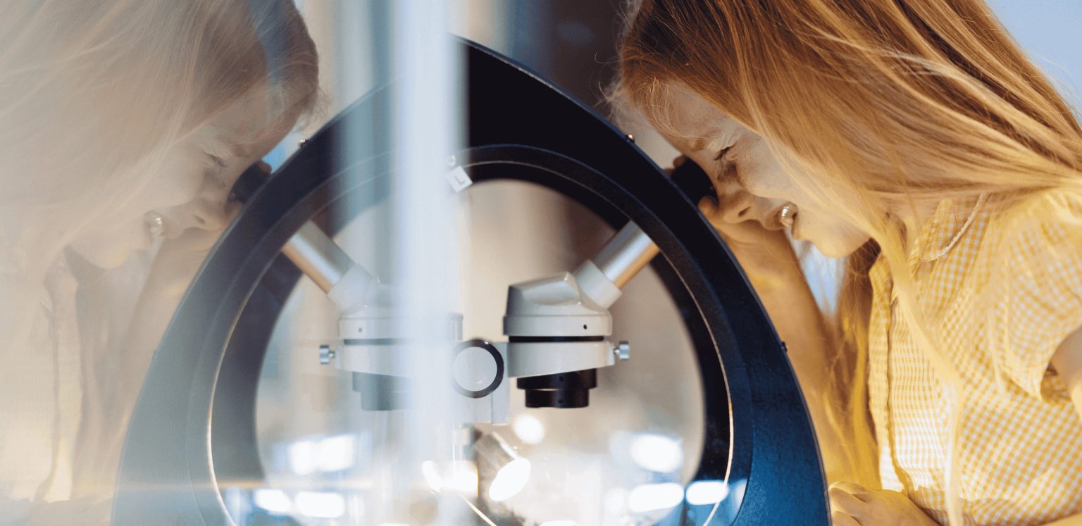 Strategic Grants William Grant Foundation